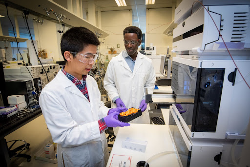 The Agile BioFoundry: From LDRD Project to Leading Public Biofoundry