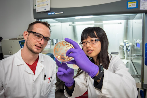 The Agile BioFoundry: From LDRD Project to Leading Public Biofoundry